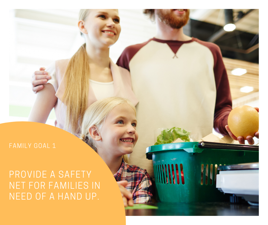 Strategic Plan - Area IV Agency