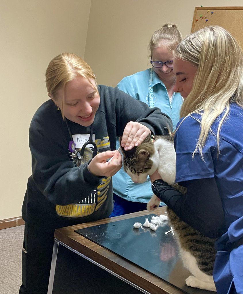 Another Successful People and Paws Event - Area IV Agency